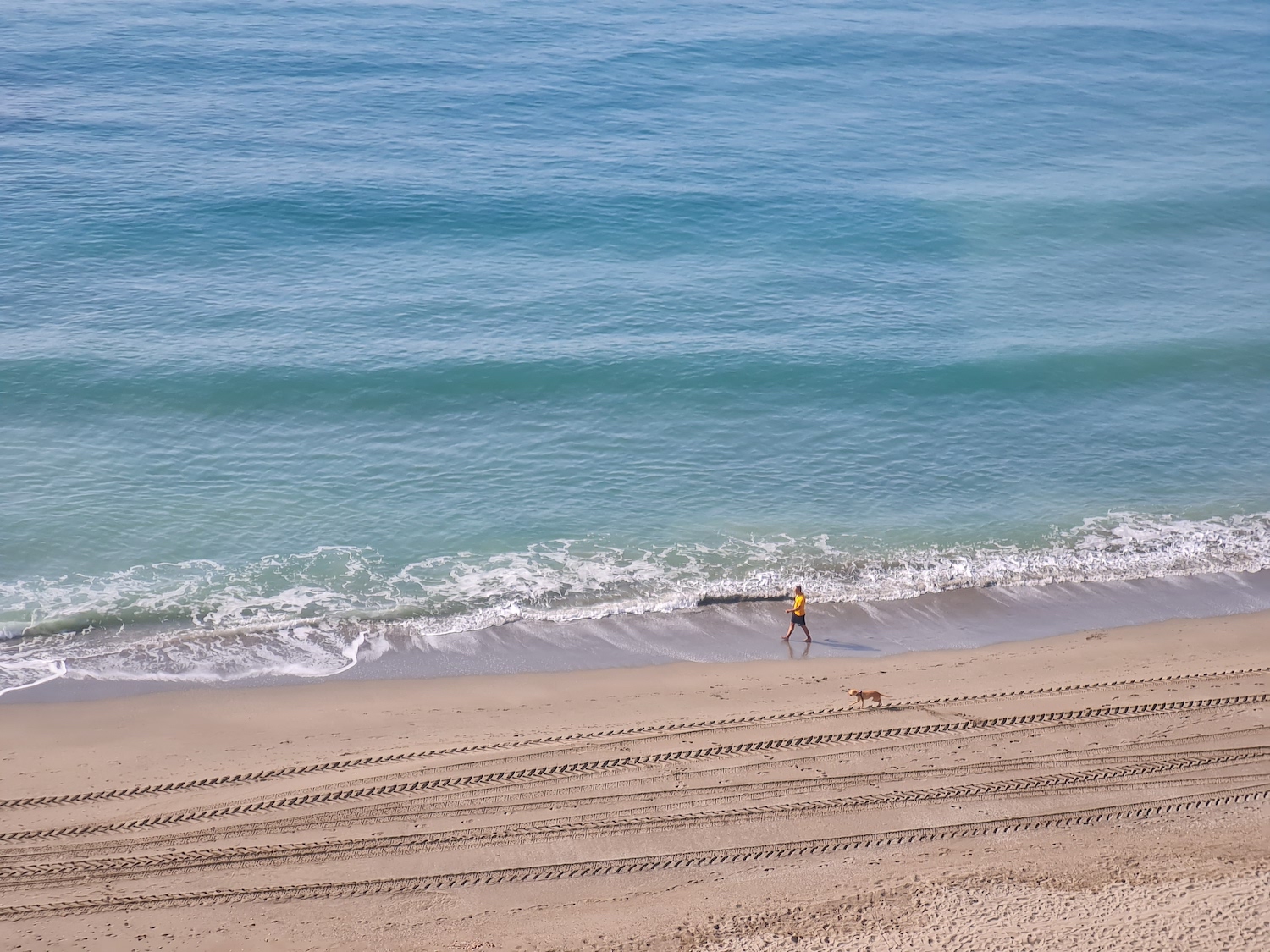 Málaga el destino favorito de los suecos 2022 | Felicity Estates